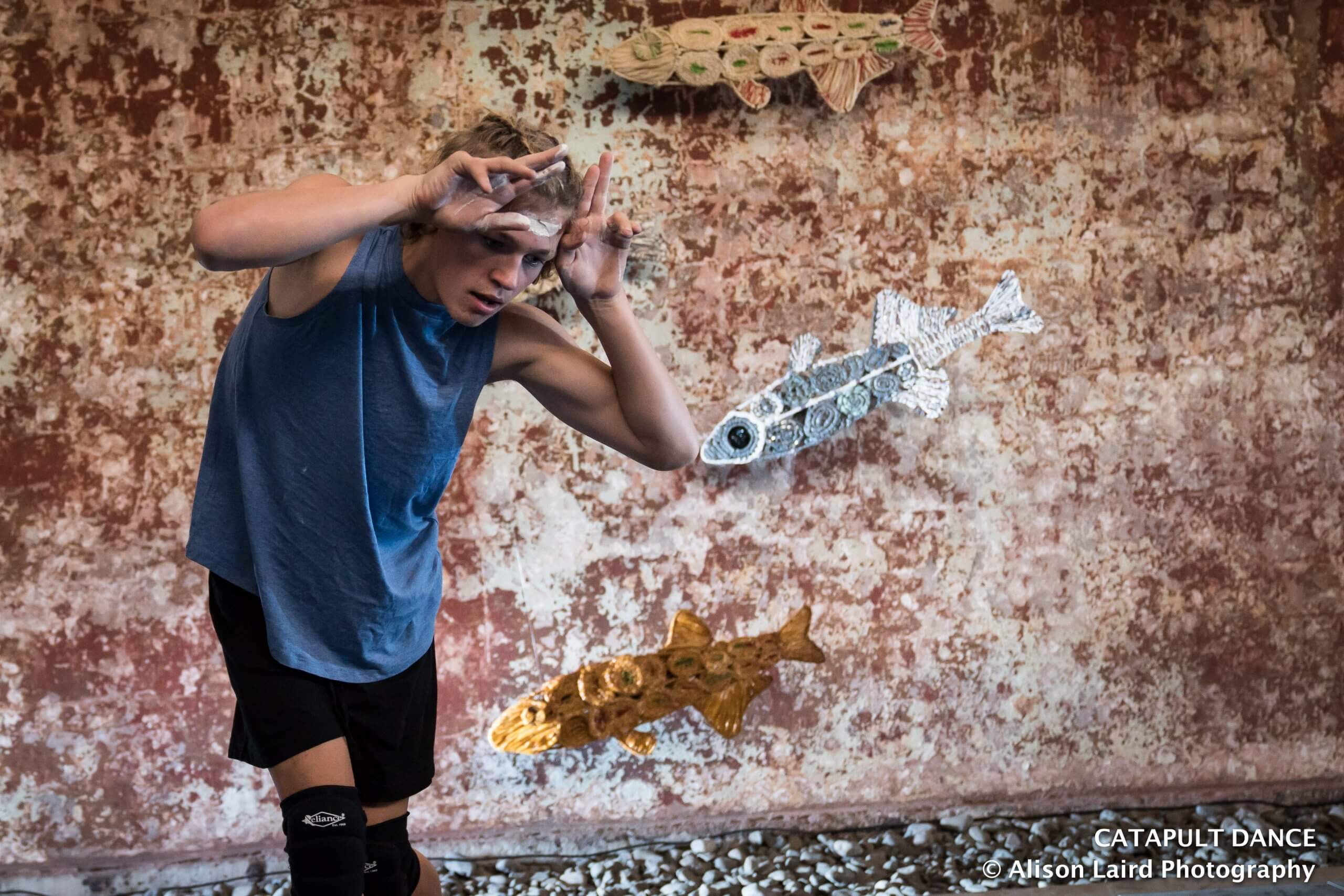 FIRST NATIONS WORKSHOPS - Catapult Dance