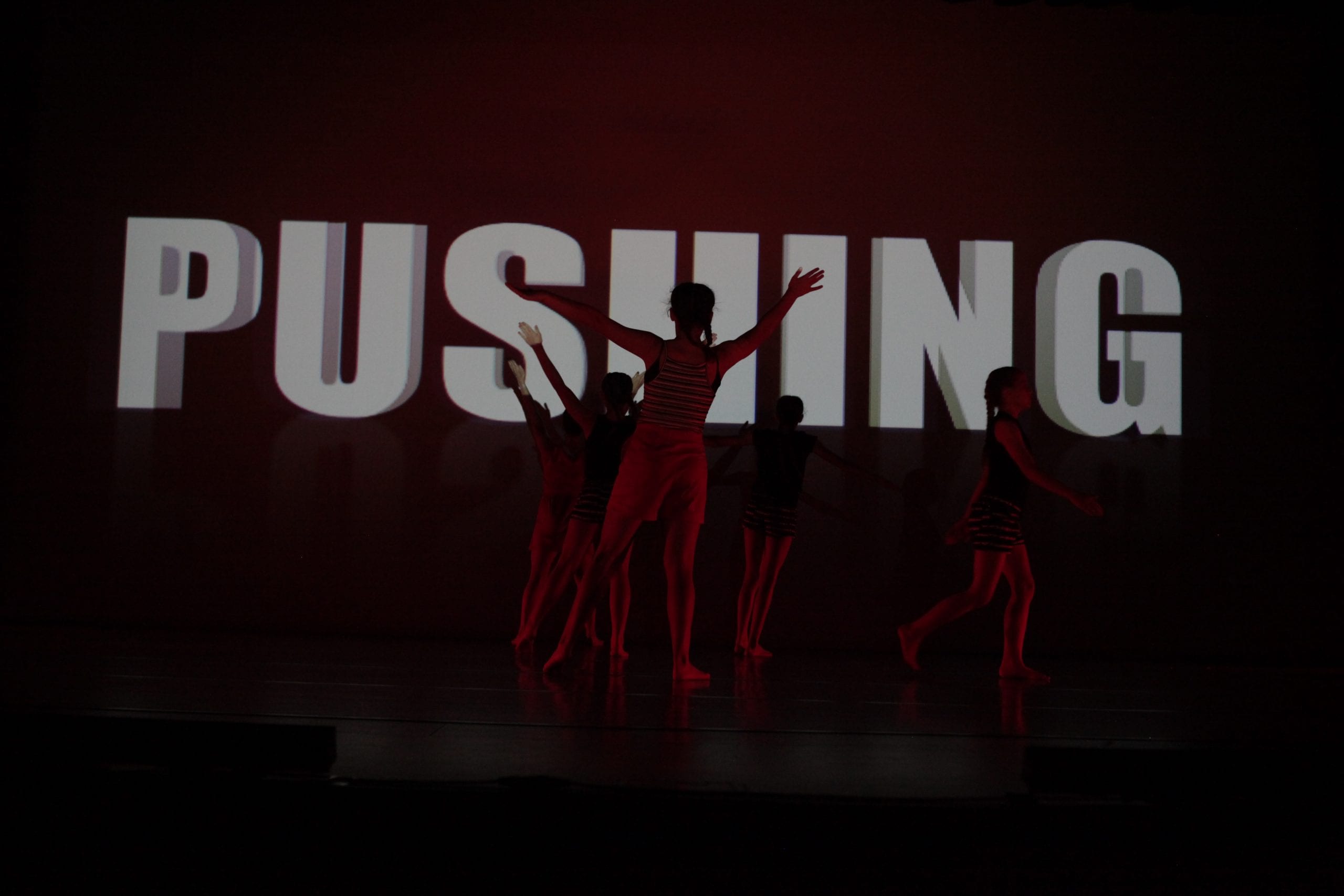 THE FLIPSIDE PROJECT: SHOWS - Catapult Dance 2020