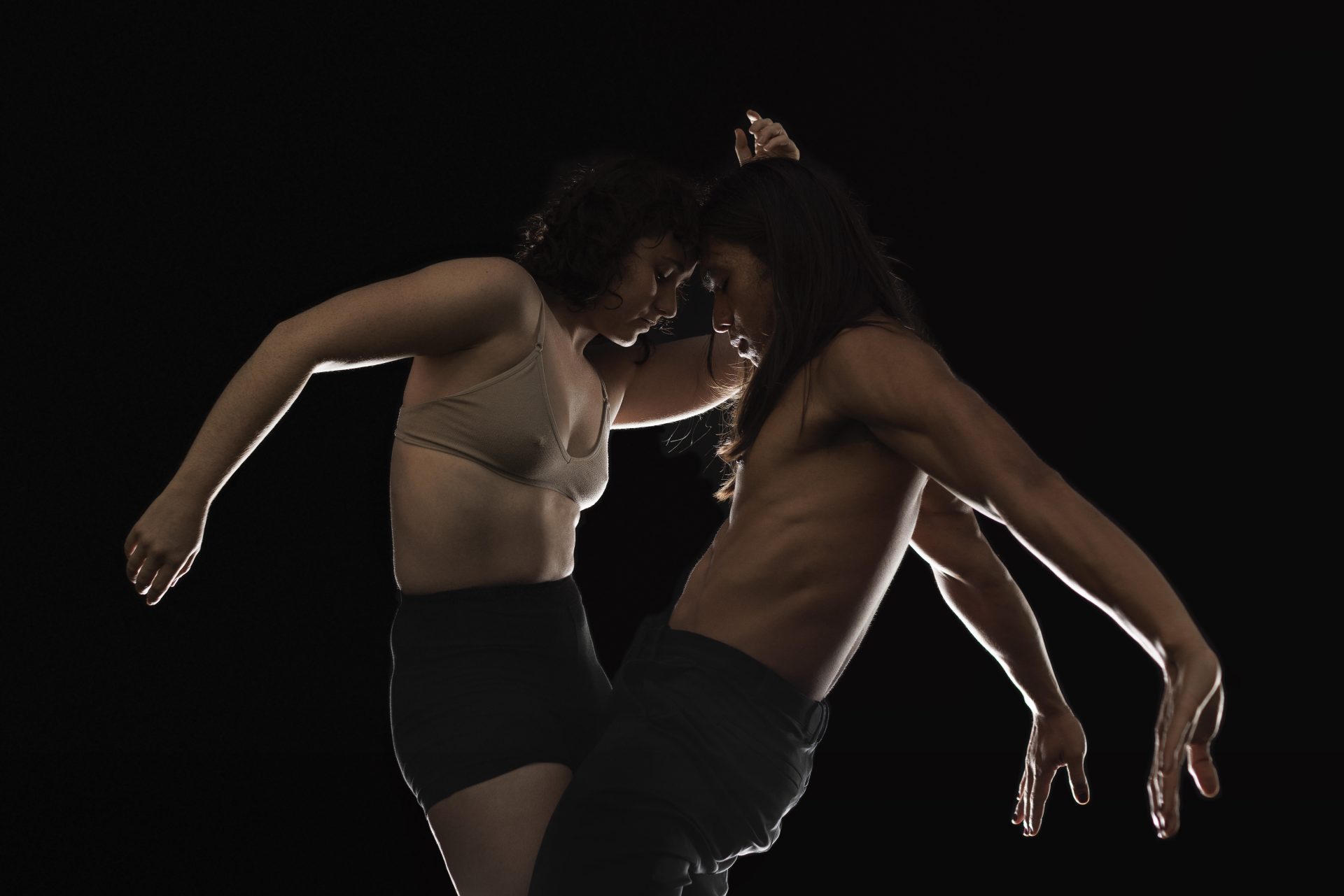 The Cord - Catapult Dance