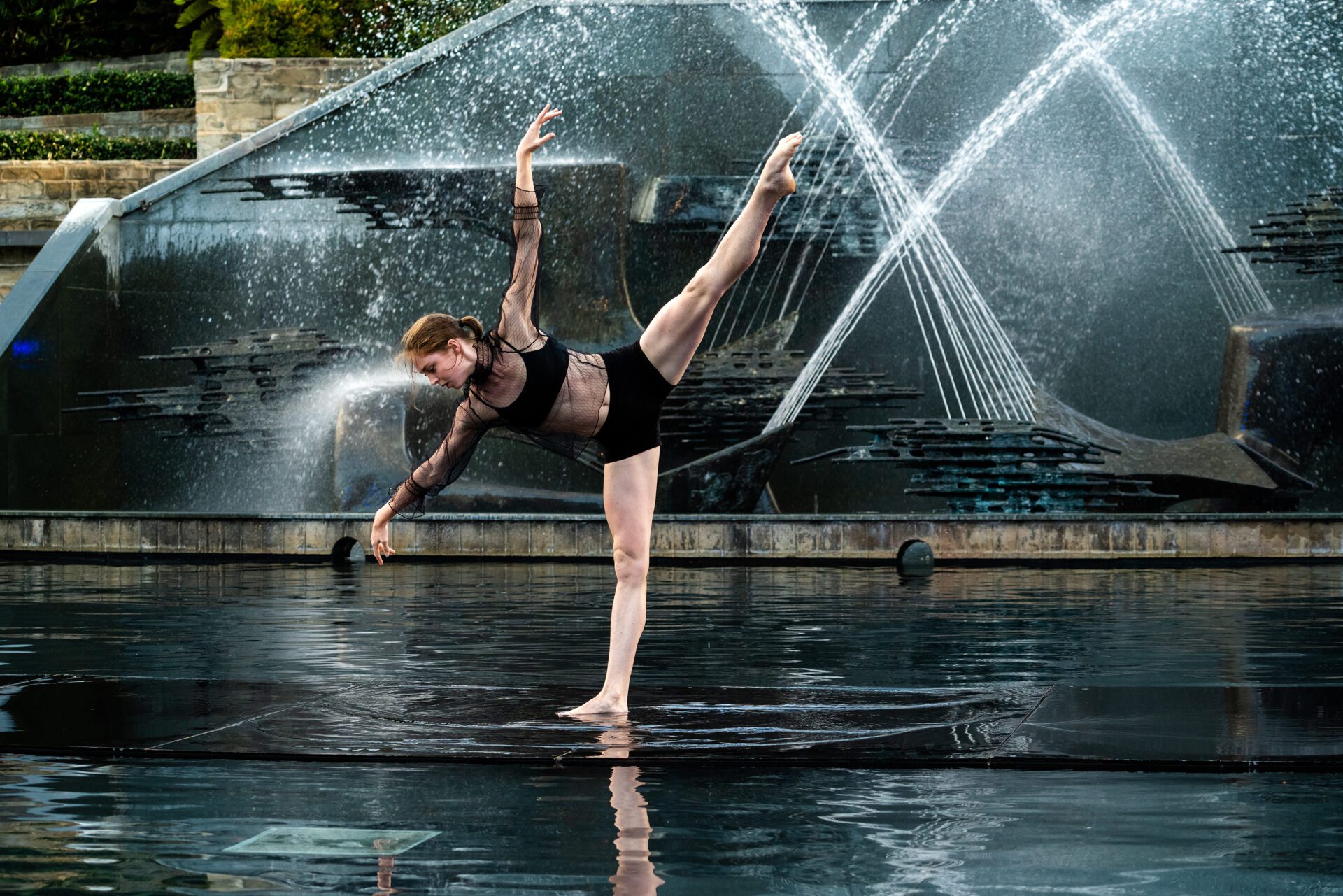 ACQUIST ARTIST TALK - Catapult Dance